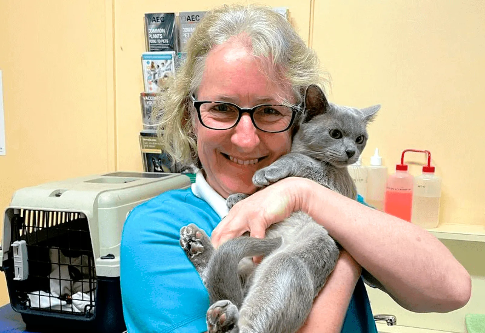 5 Steps To a Stress-free Vet Visit For Your Cat - Moorabbin Veterinary ...