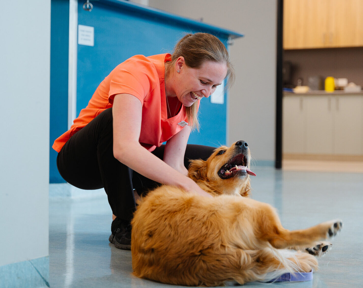 Jenny - Moorabbin Veterinary Hospital